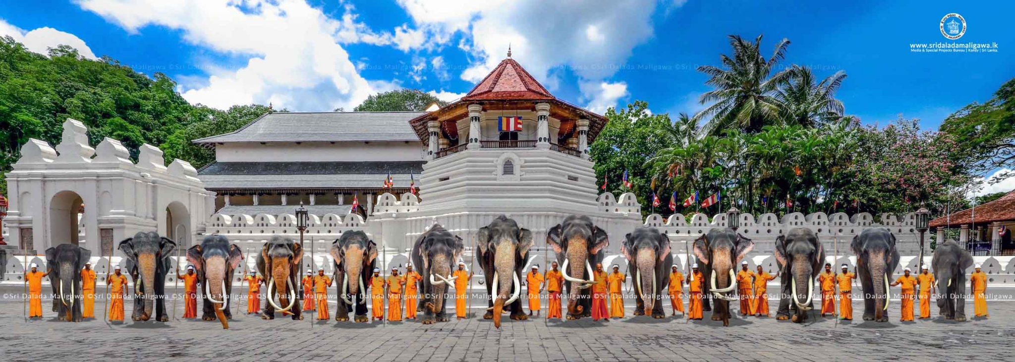 TUSKER GROUP (Athgala) - Sri Dalada Maligawa - Temple of the Sacred ...