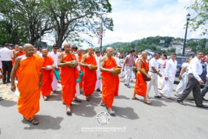 Maha Pindapatha Alms giving - 2023 Vesak festival week.