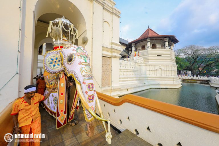 The Annual Poson Perahera 2023 - Temple of the Tooth Relic
